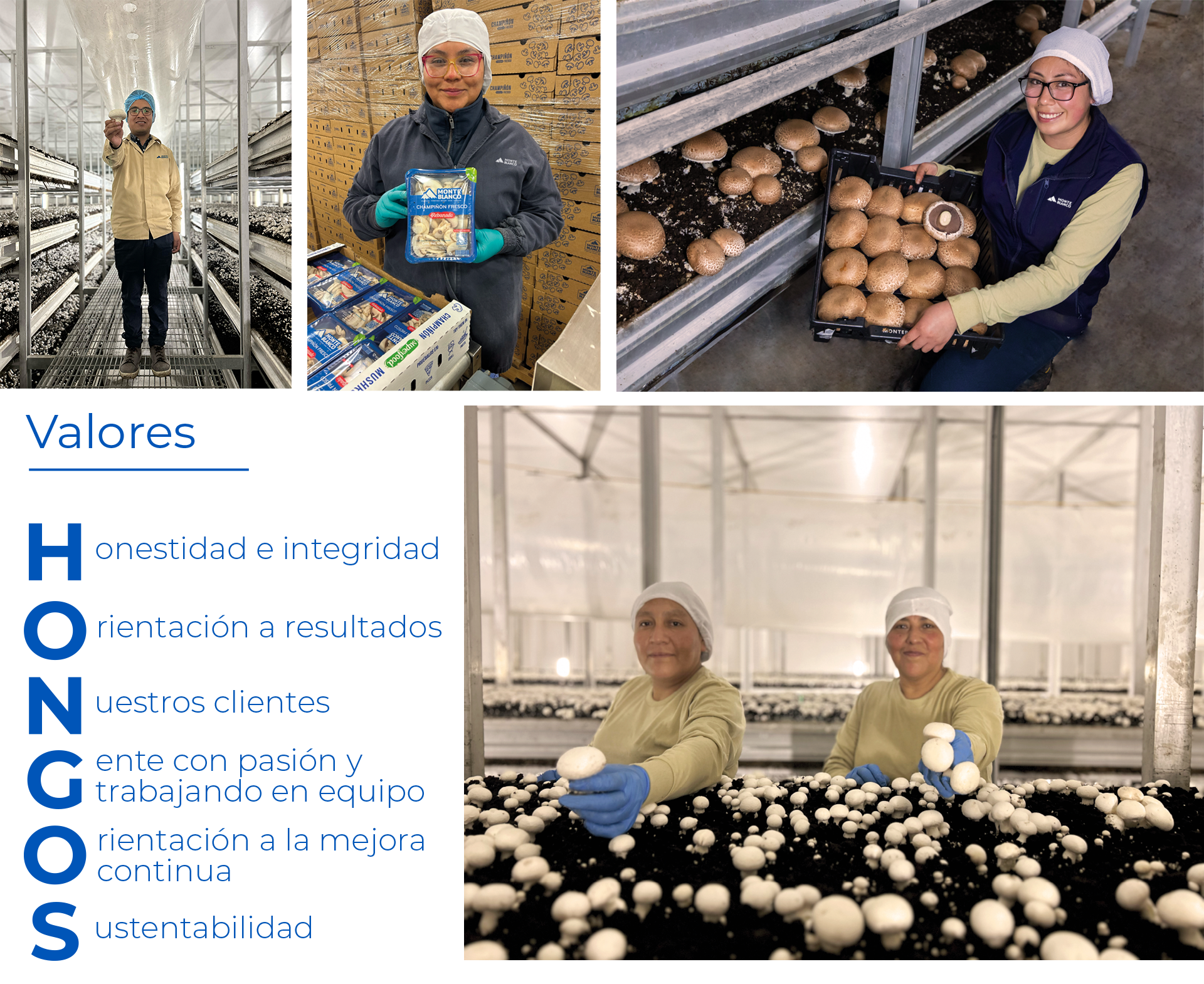 Monteblanco; Sabor, calidad y frescura, siempre en tu mesa. – Monte ...