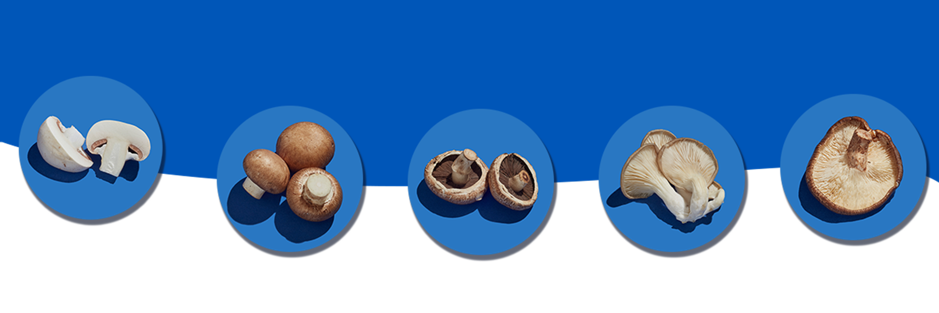 Monteblanco; Sabor, calidad y frescura, siempre en tu mesa. – Monte ...